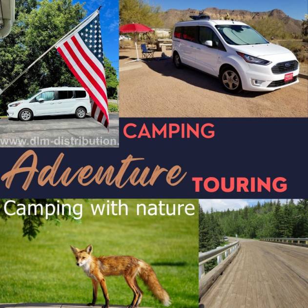 Introducing the Ultimate Adventure: Mini-T Campervans Available for ...